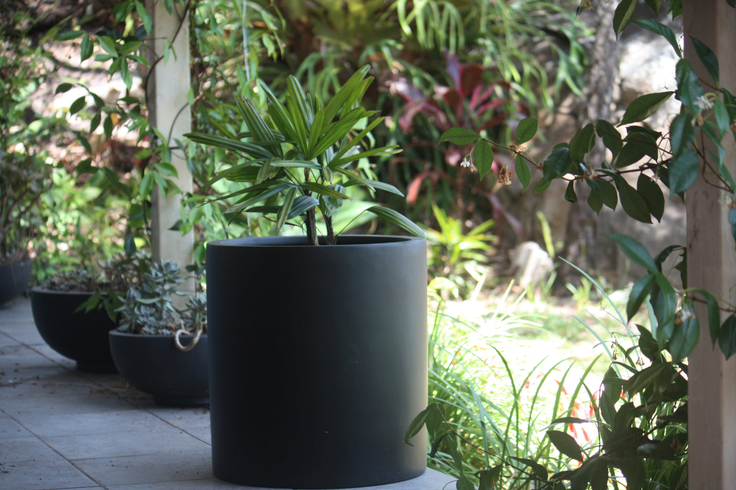 Short Cylinder – Project Pots