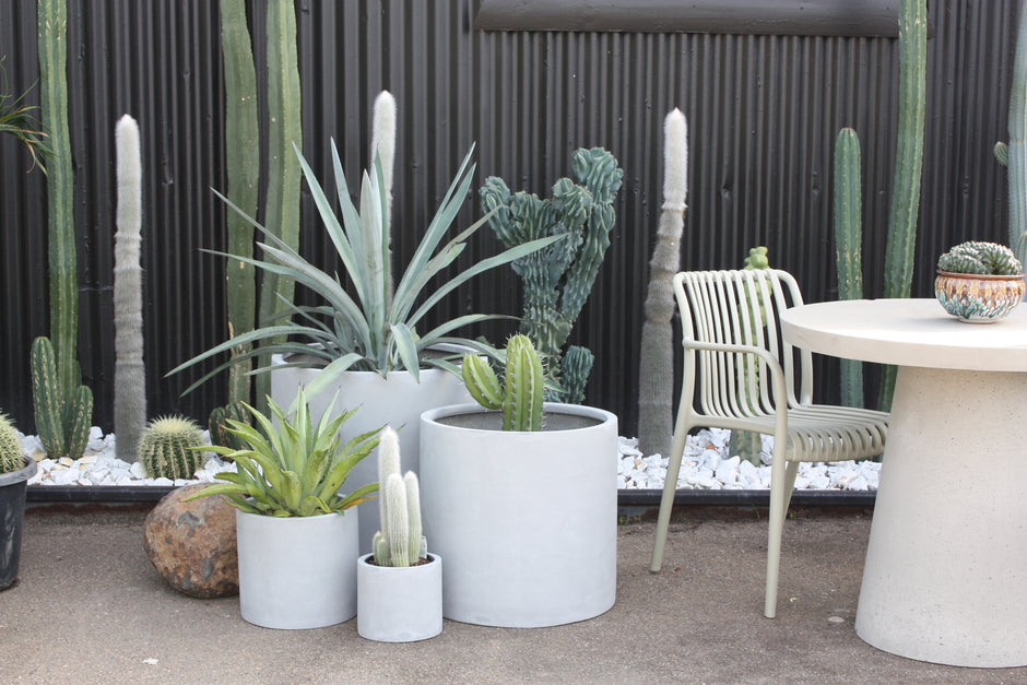 Products – Project Pots