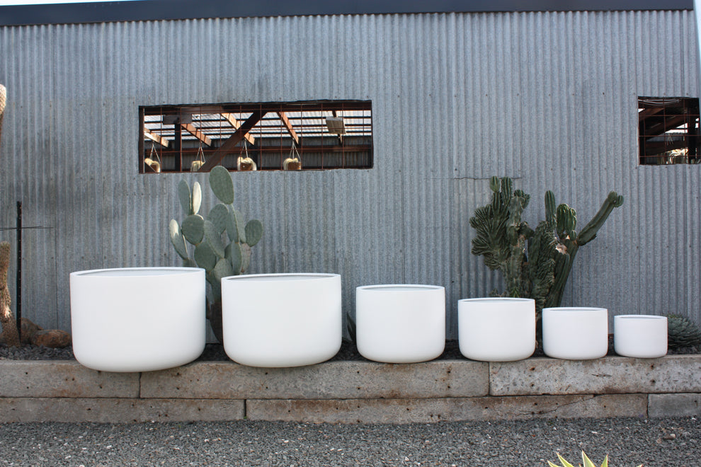 Stump – Project Pots