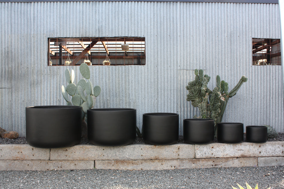 Stump – Project Pots