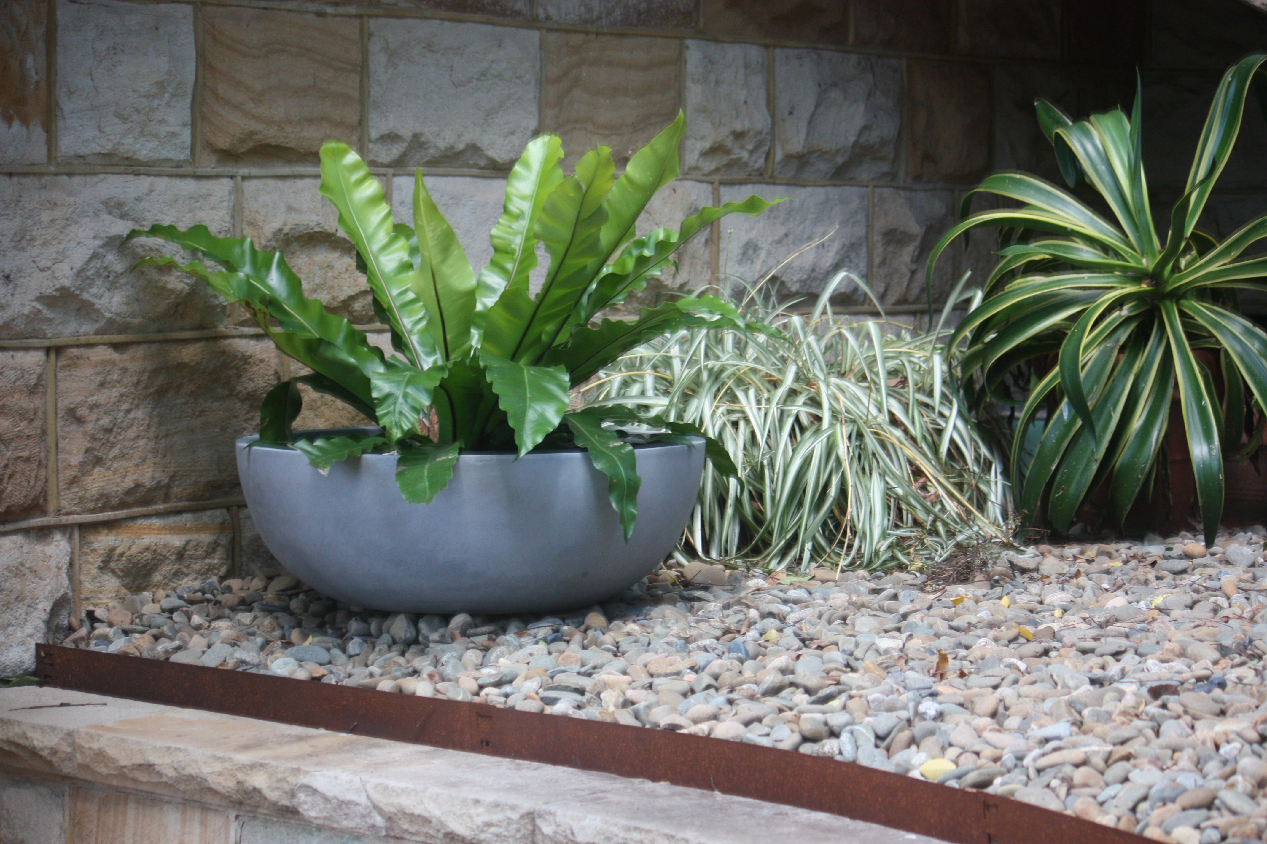 Bowl – Project Pots